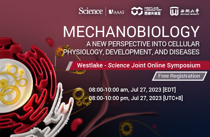 webinar