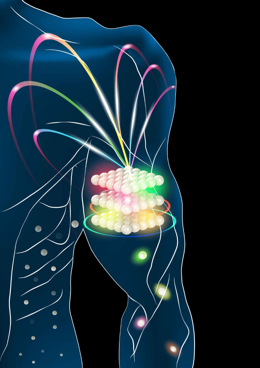 Westlake Pre-college Program - Westlake University