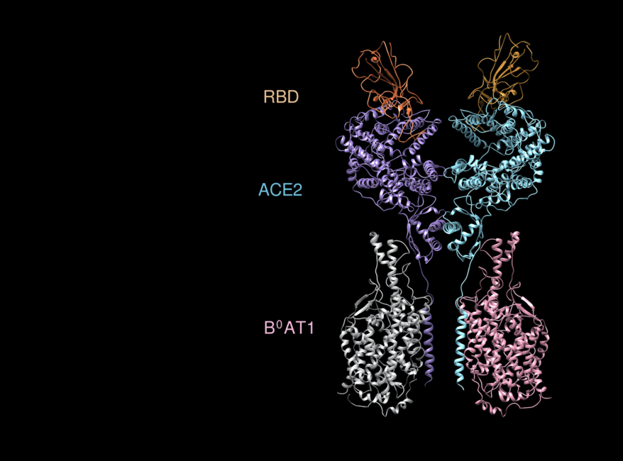 Innovation - Westlake University