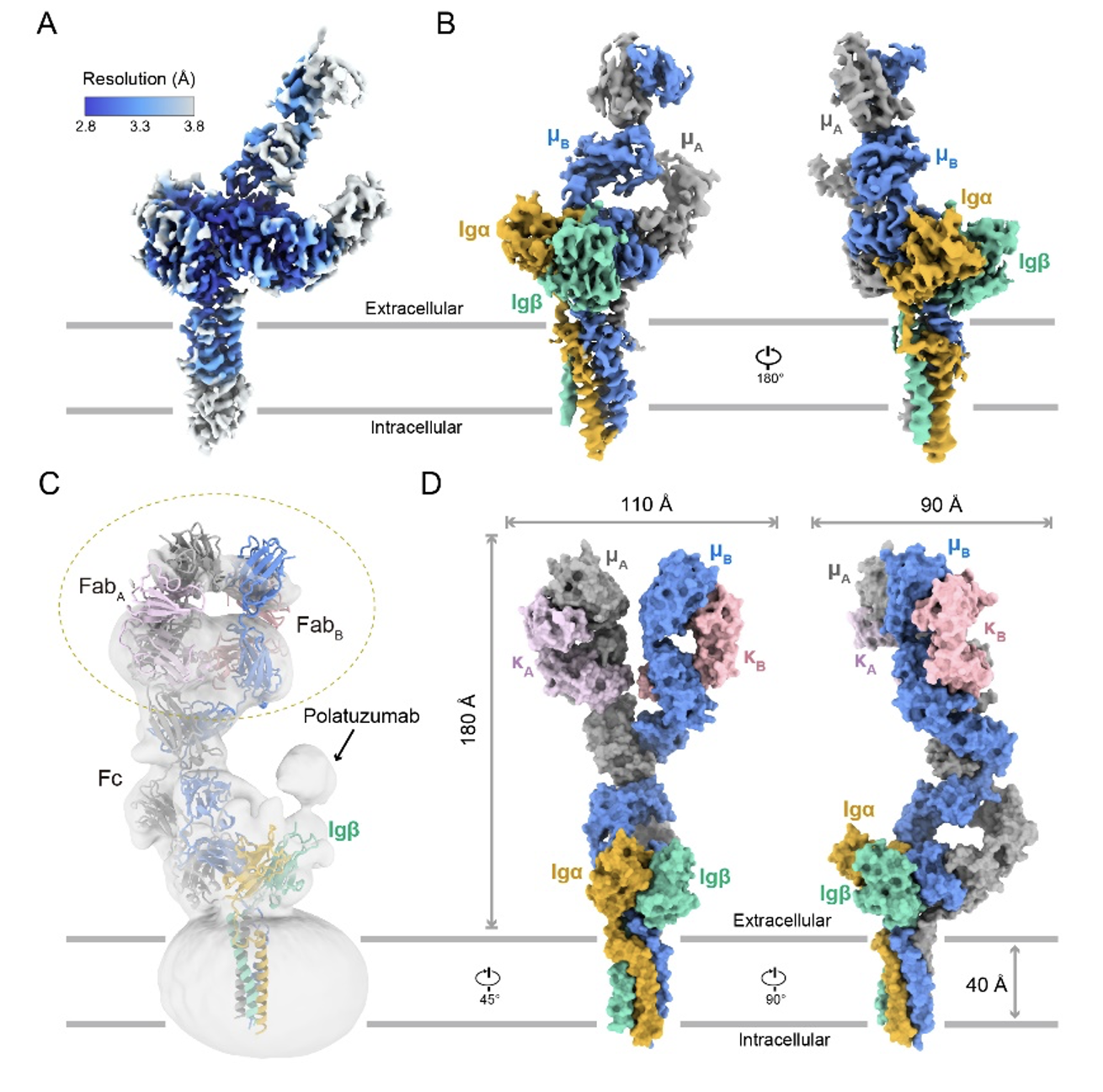 Research - Westlake University