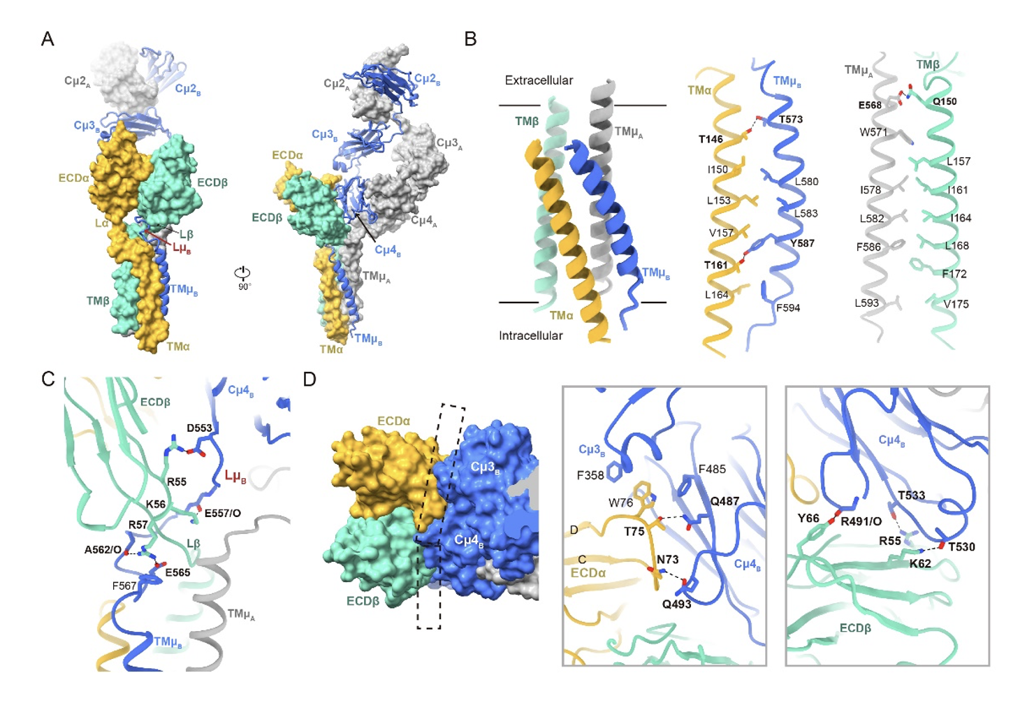 Research - Westlake University
