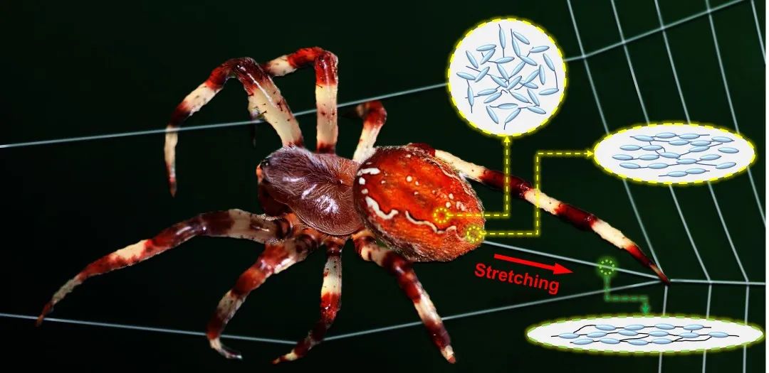 Research - Westlake University