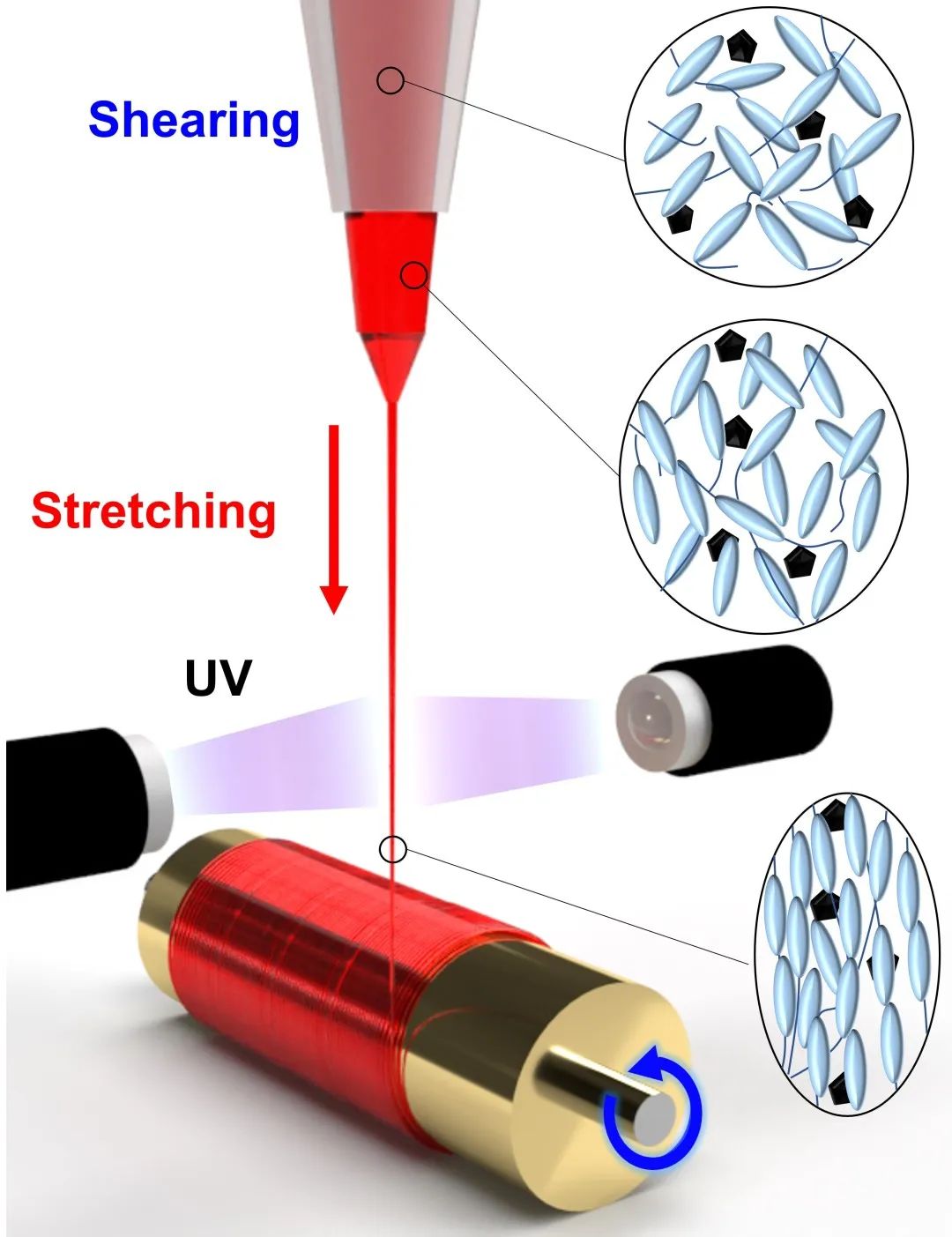 Research - Westlake University