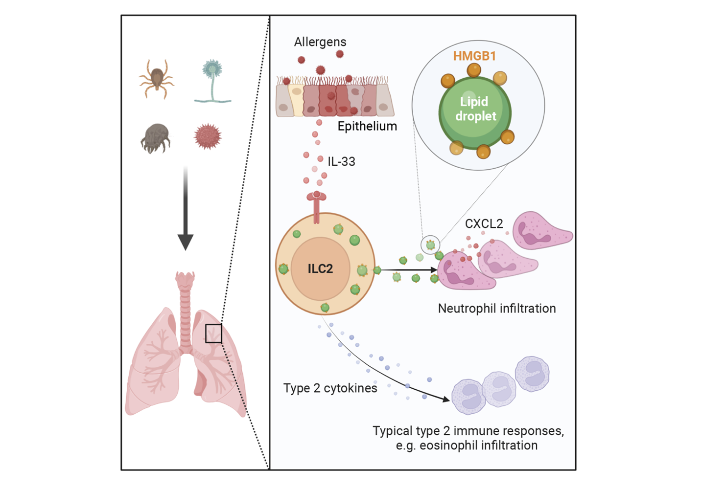A Research University & Global Campus - Westlake University